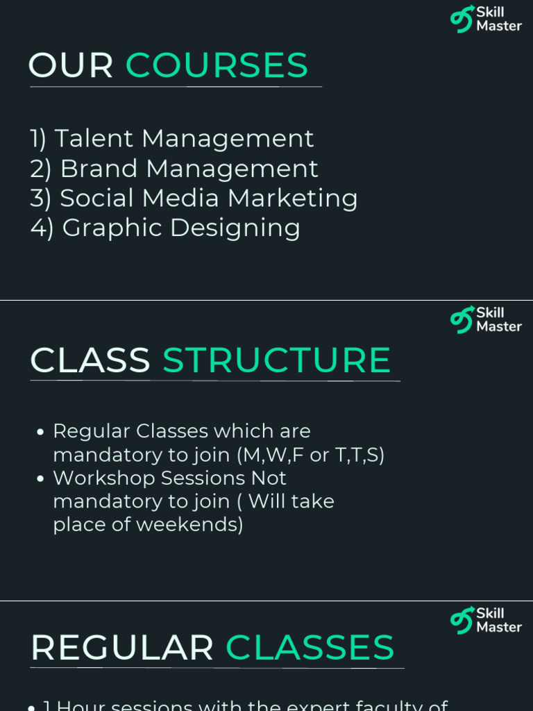 What We Offer (SkillMaster) | PDF