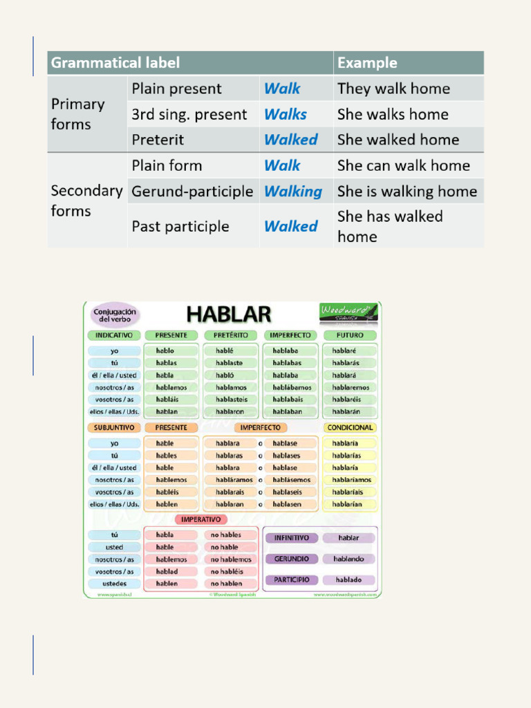 CG 02 Verb Contrast STUDENTS | PDF