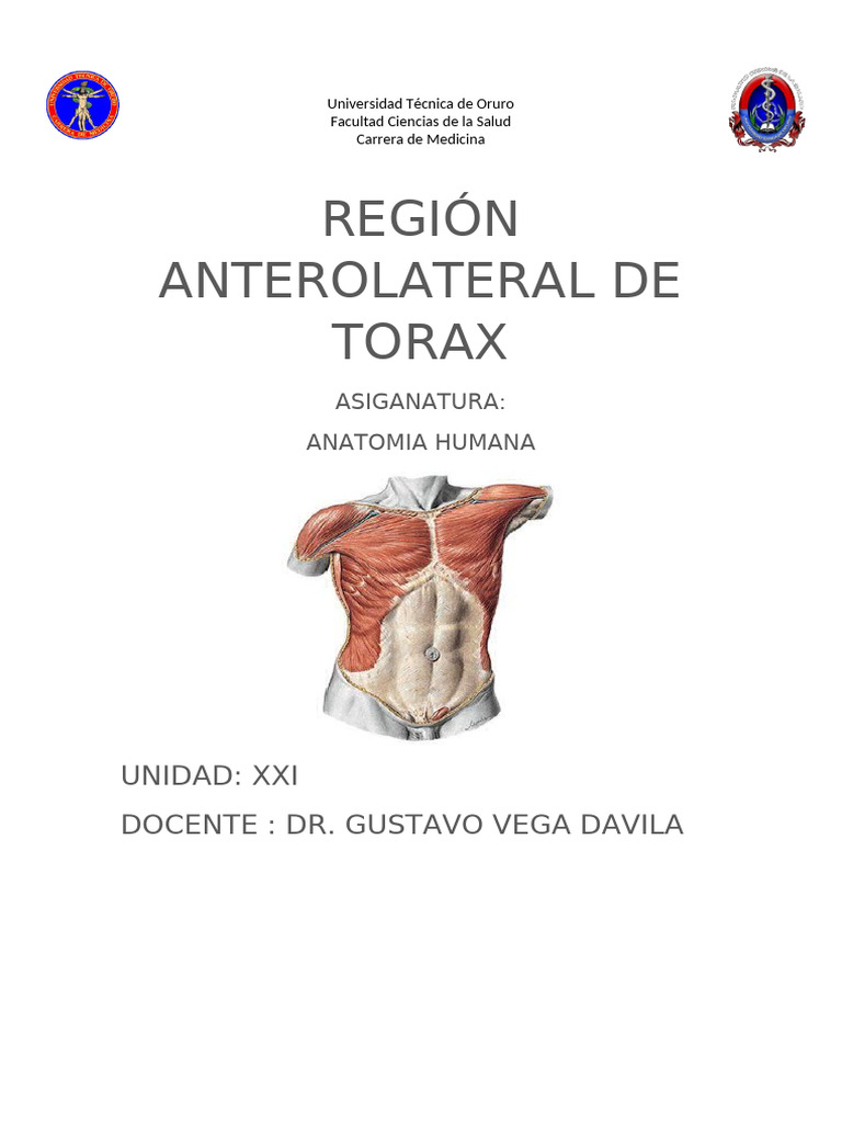 Anatomía de la Región Anterolateral del Tórax | PDF | Tórax | Sistema ...