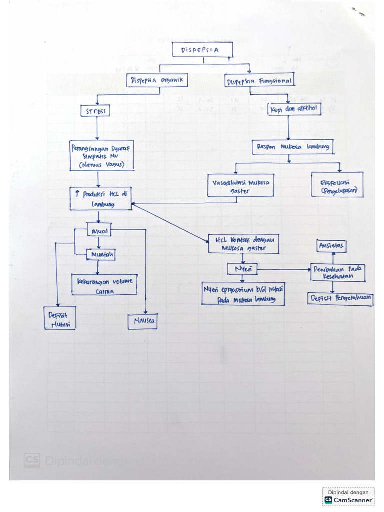 Fitri Gadar Dispepsia | PDF