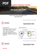 Specialised Animal Cells - Living Organisms - KS3 Biology - BBC ...