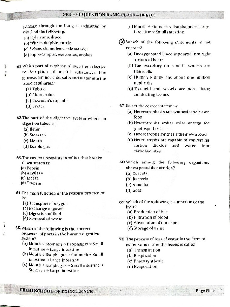 Question Paper 2 | PDF