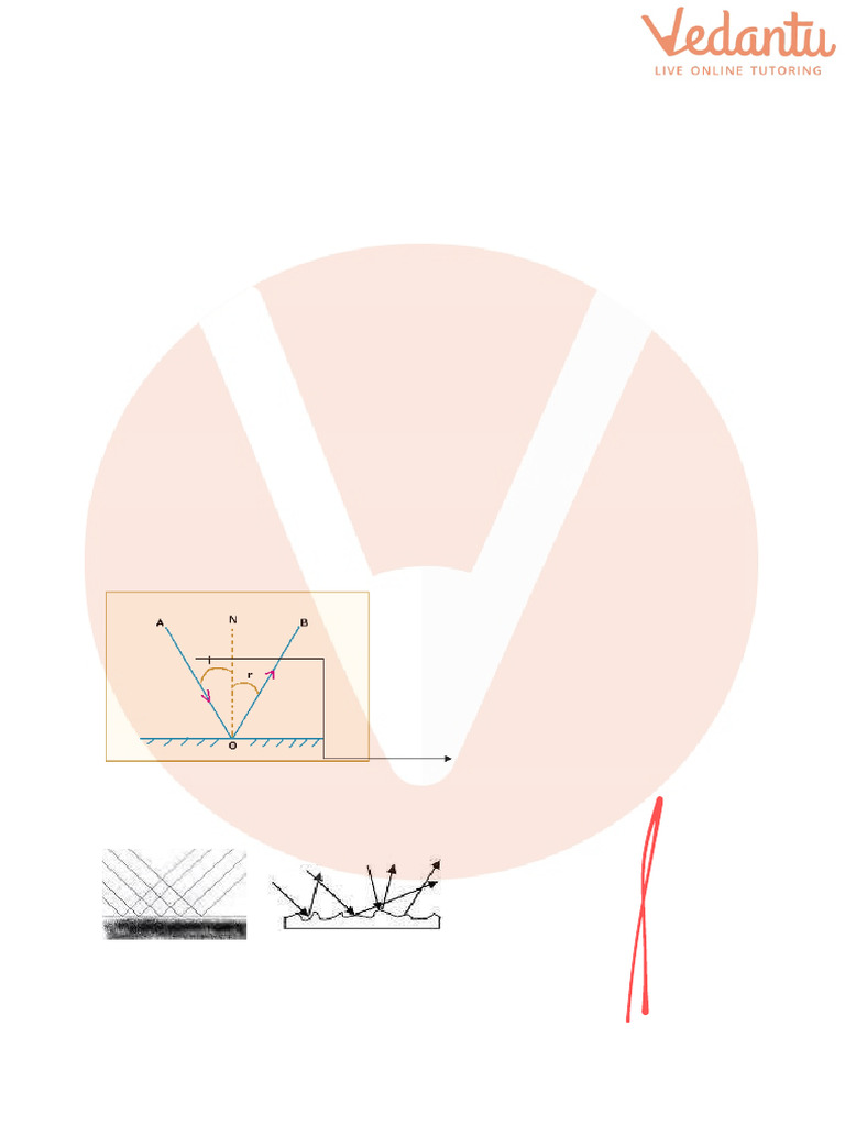 CBSE Class 8 Science Light Worksheets With Answers - Chapter 16 | PDF ...