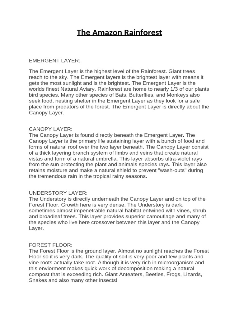 The Amazon Rainforest | PDF