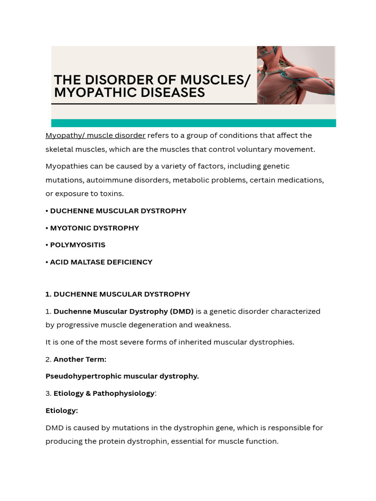 The Disorder of Muscles Myopathic Diseases - Neuroanaphysio BSRTH ...