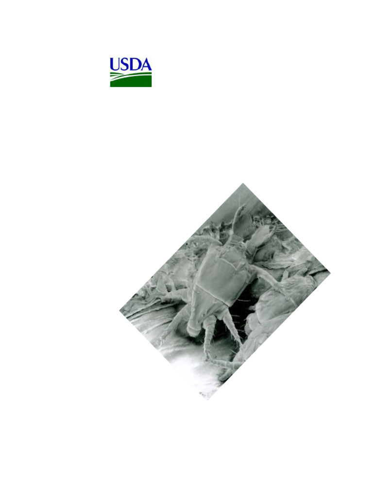 Panicle Rice Mite Program Manual | PDF | Rice