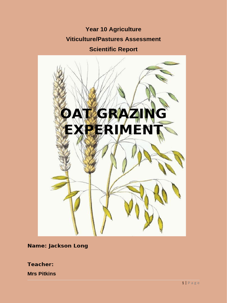Oats Assessment Term 1 DUN Checked | PDF | Oat | Cereals