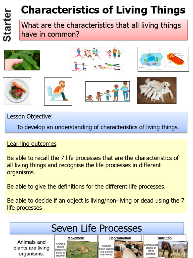 Characteristics of Living Things Explained | PDF