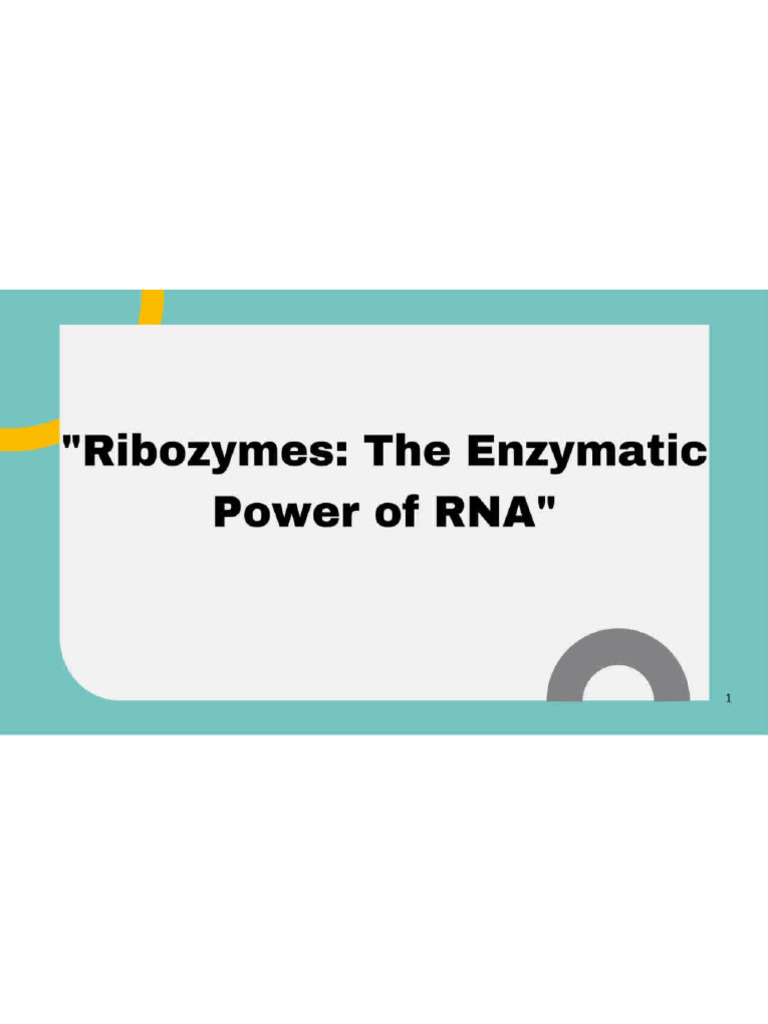 Ribozyme | PDF