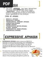 6 Phonetic Placement and Visual Cues | PDF | Mouth | Phonetics