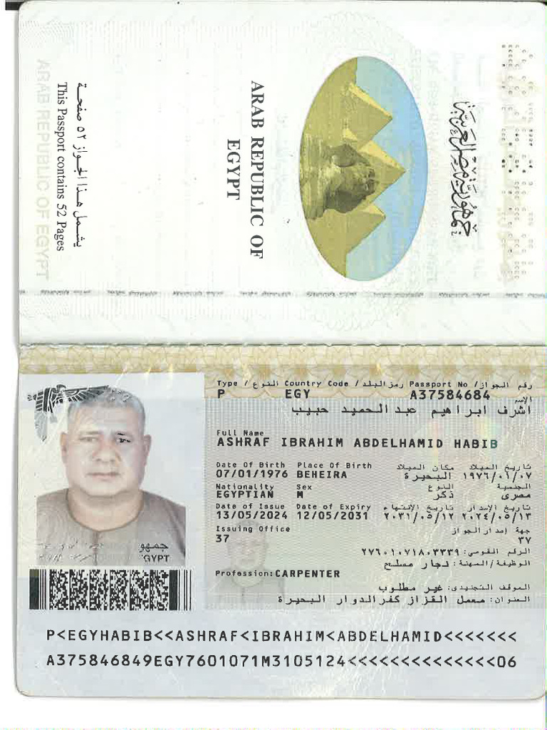 Ashraf Ibrahim | PDF