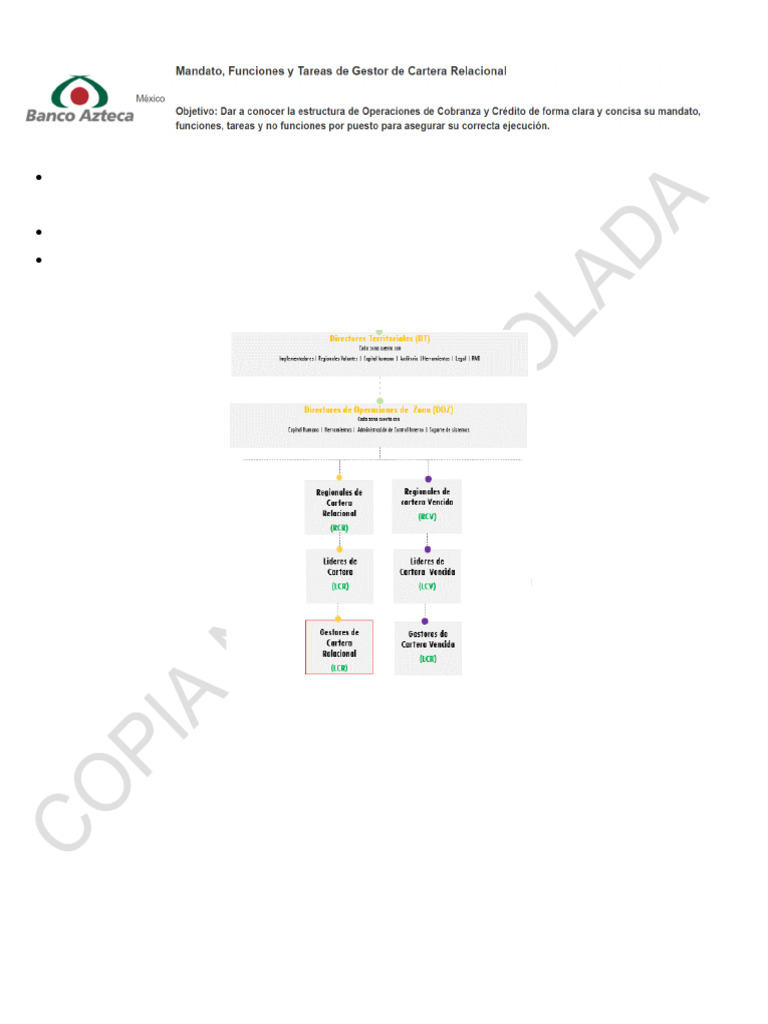 Mandato, Funciones y Tareas de Gestor de Cartera | PDF