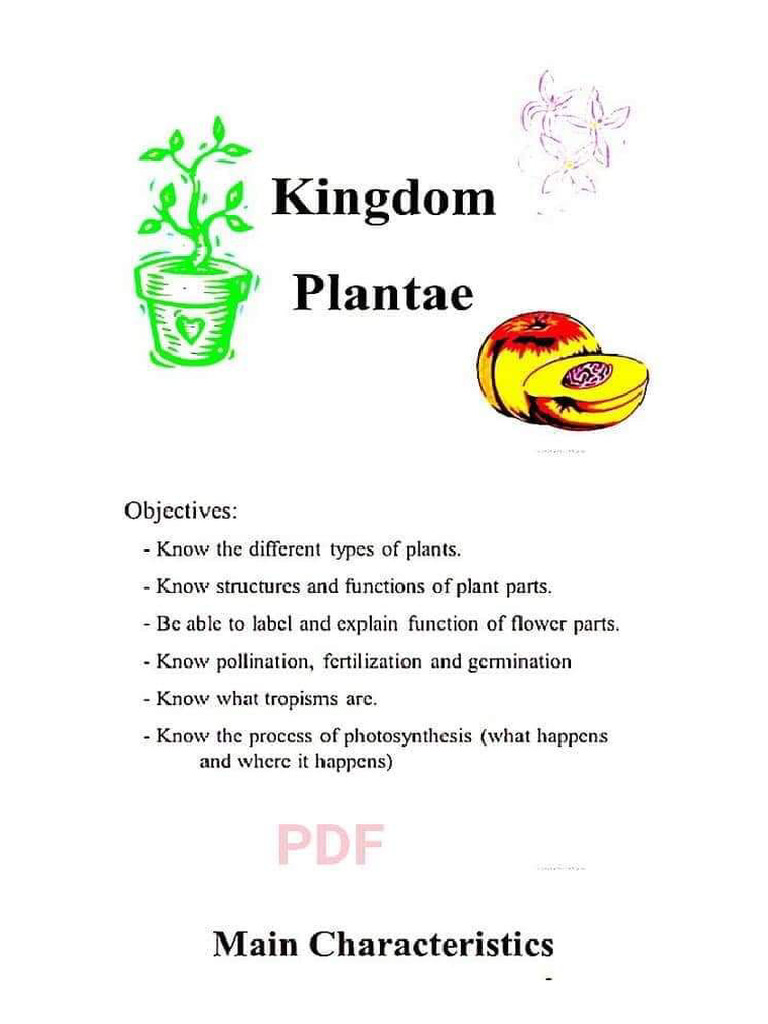 Biology Notes - Danish Foundation | PDF
