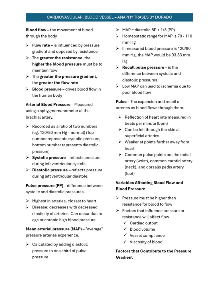 Blood Vessels Transes Anaphy Lec | PDF | Blood Pressure | Blood Vessel