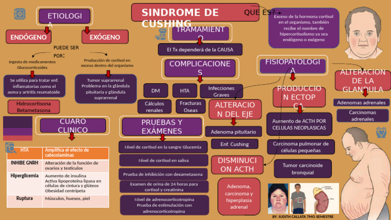 Sindrome de Cushing | PDF | Hormona adrenocorticotrópica | Cortisol