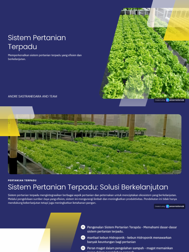 Sistem Pertanian Terpadu Dengan Hidroponik Dan Magot | PDF