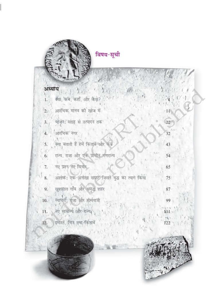 History Hindi | PDF