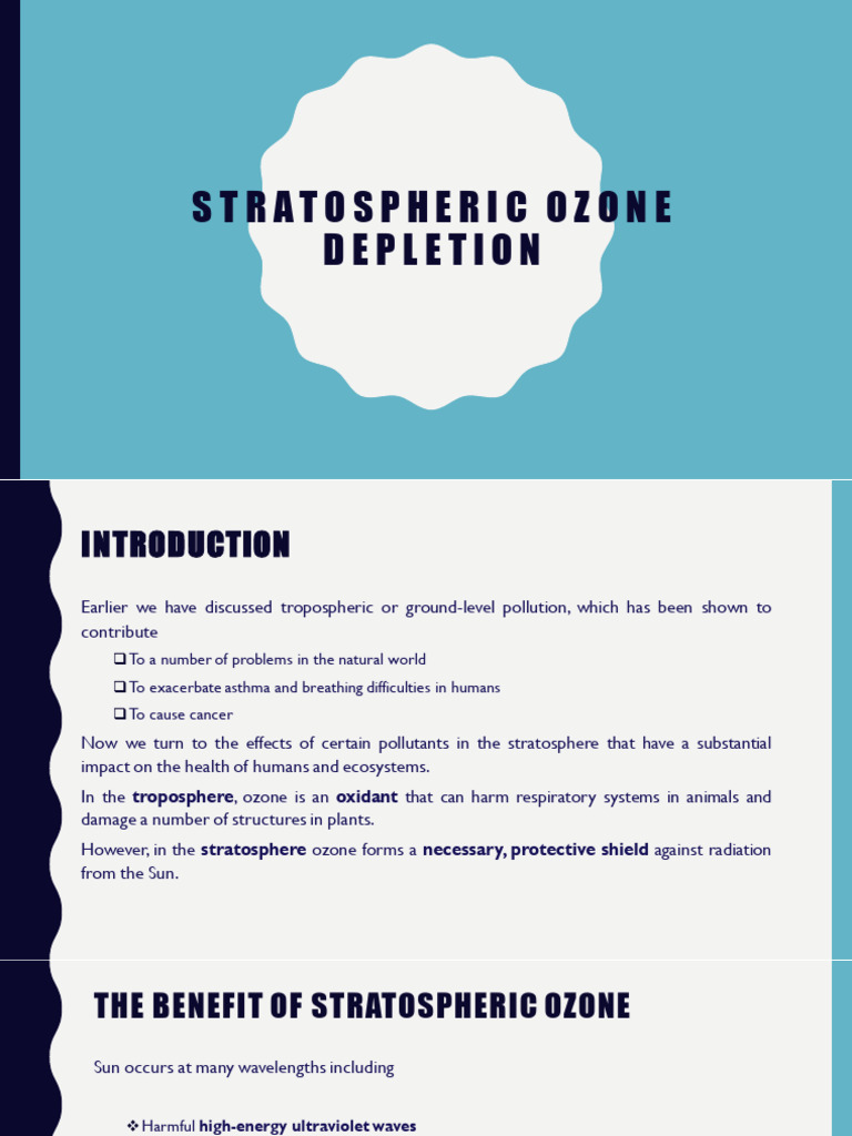 Global Environmental Problems Ozone Layer Depletion | PDF | Ozone ...