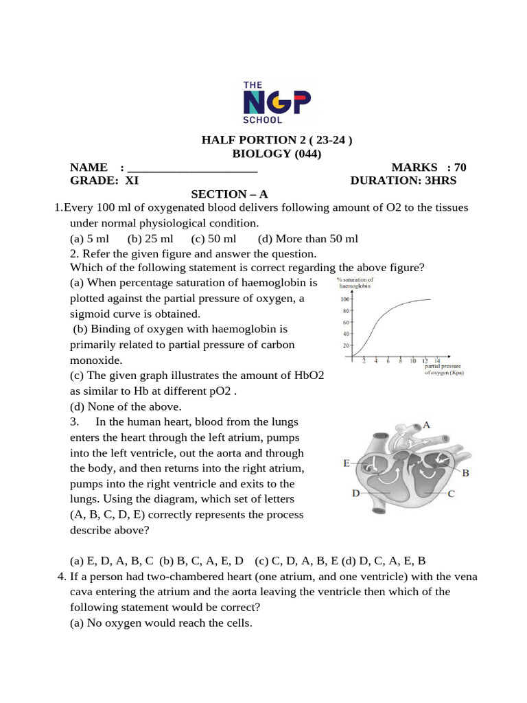 Half Portion 2 XI 24 - 25 | PDF | Heart | Atrium (Heart)