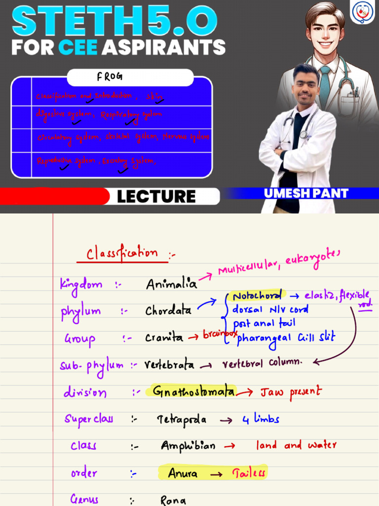 Frog (1) - 250421 - 111717 | PDF | Stomach | Small Intestine