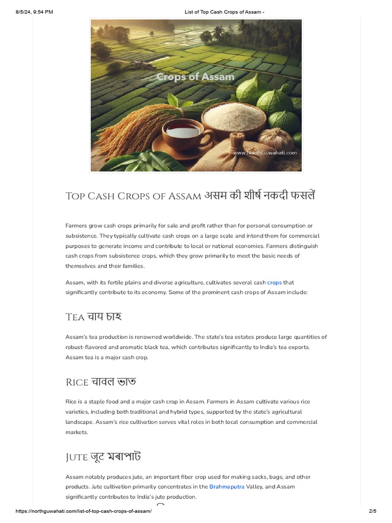 List of Top Cash Crops of Assam | PDF | Cash Crop | Agriculture