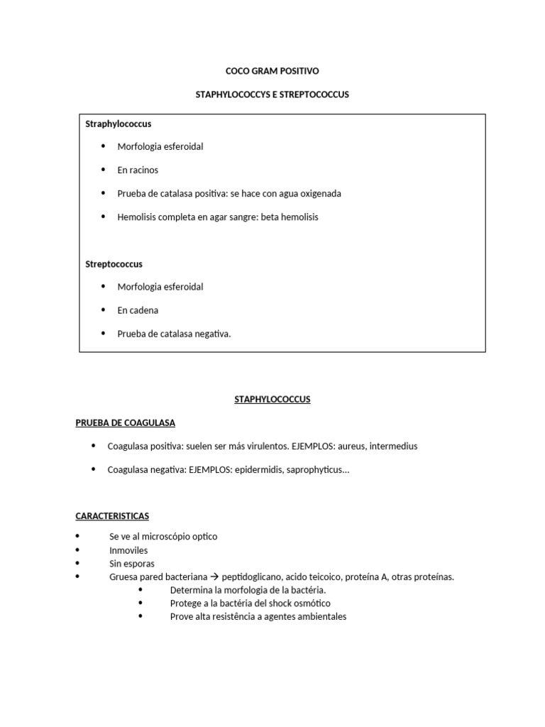 Coco Gram Positivo | PDF | Staphylococcus Aureus | Las bacterias