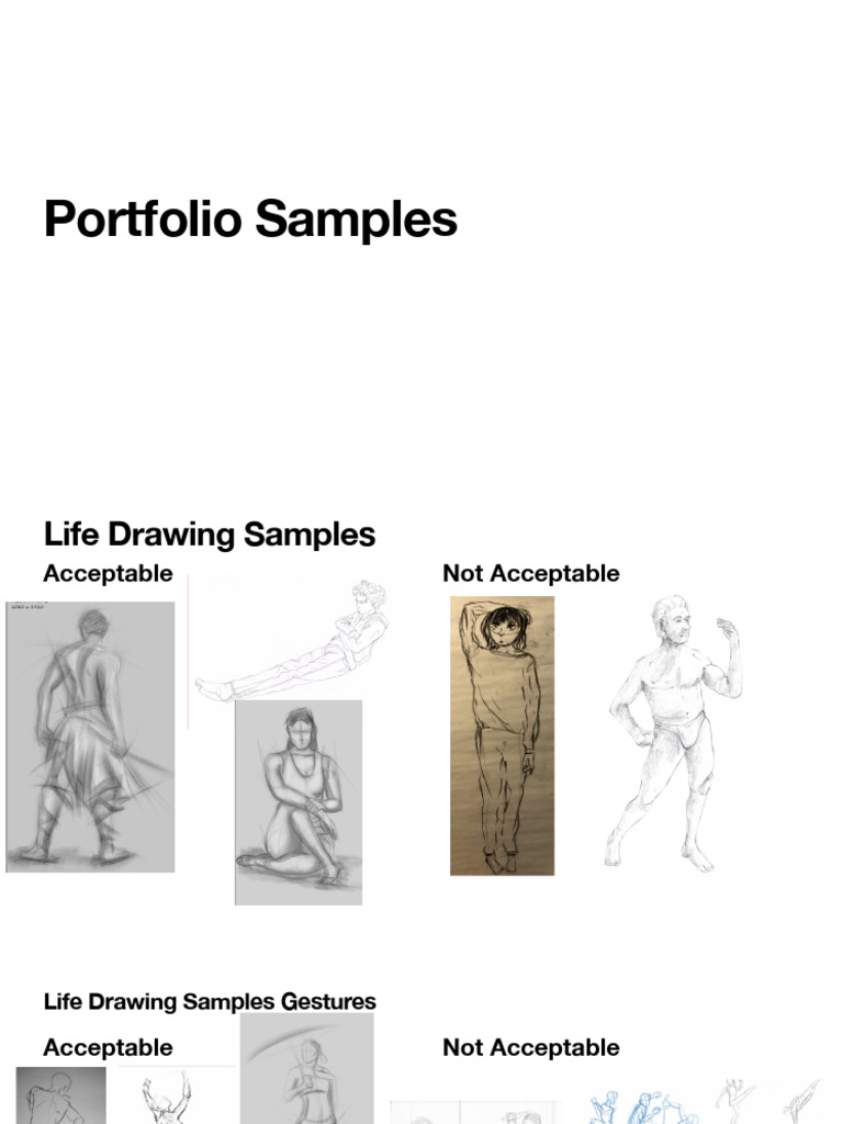 Animaton Programs Portfolio Examples | PDF