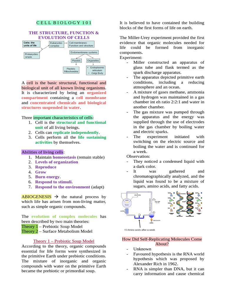 Cell Bio Section 1 Notes | PDF | Cell Membrane | Cell (Biology)