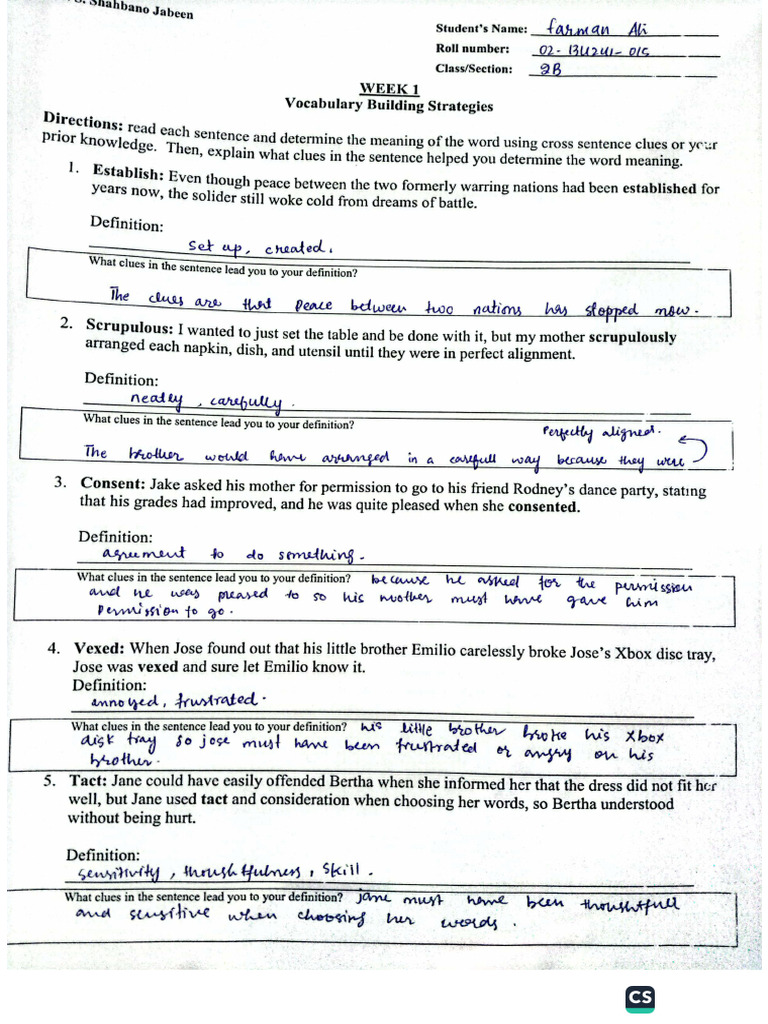 Portfolio English | PDF