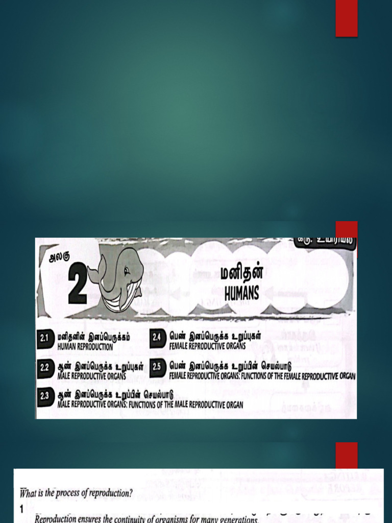 SN DLP Year 6 Topic 2 Humans | PDF