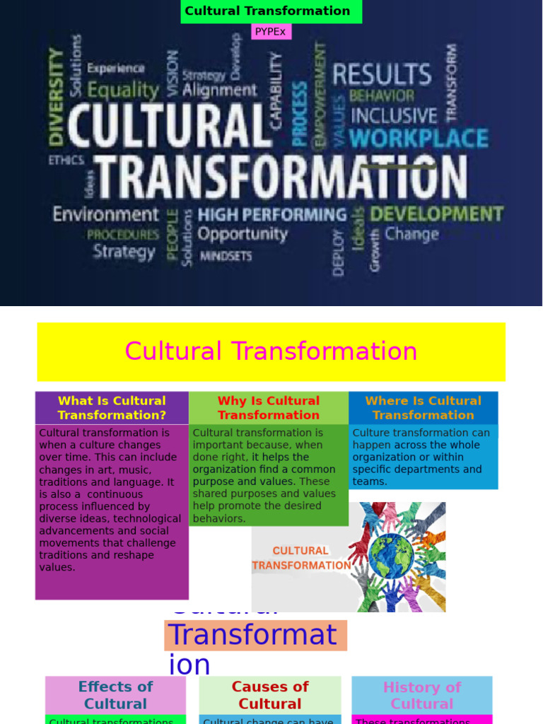 Understanding Cultural Transformation | PDF | Society | Behavior