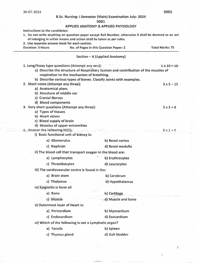 BSC Nursing 1st Semester Pyq | PDF