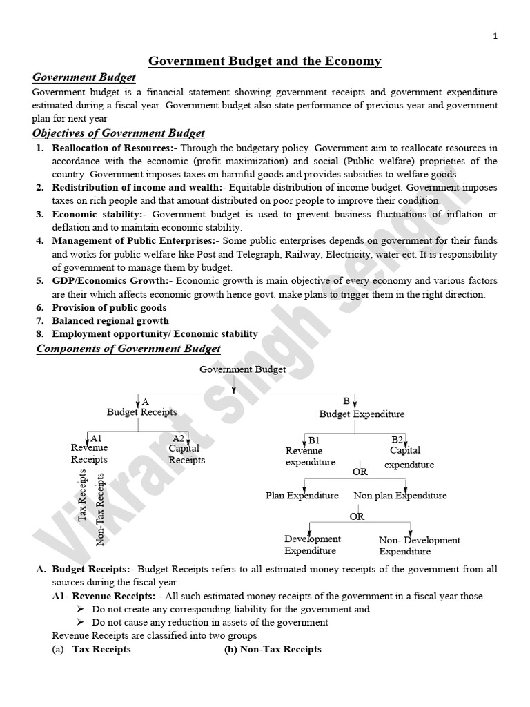 Government Budge and The Economy | PDF | Taxes | Government Budget Balance