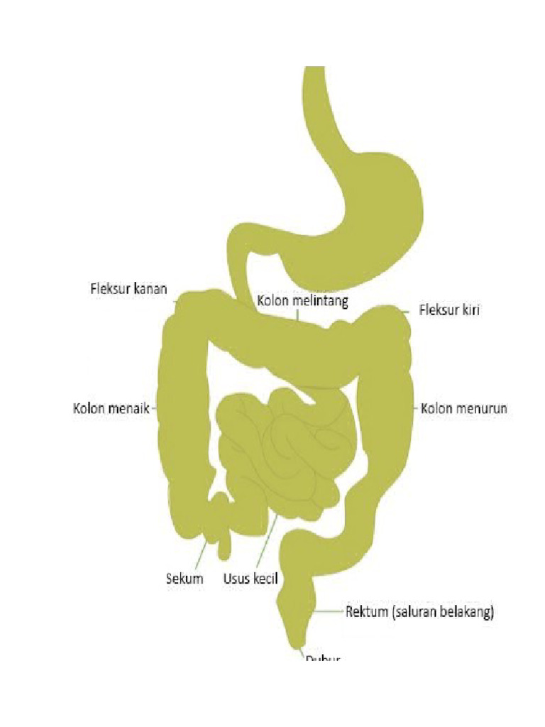 Sistem Penghadaman | PDF