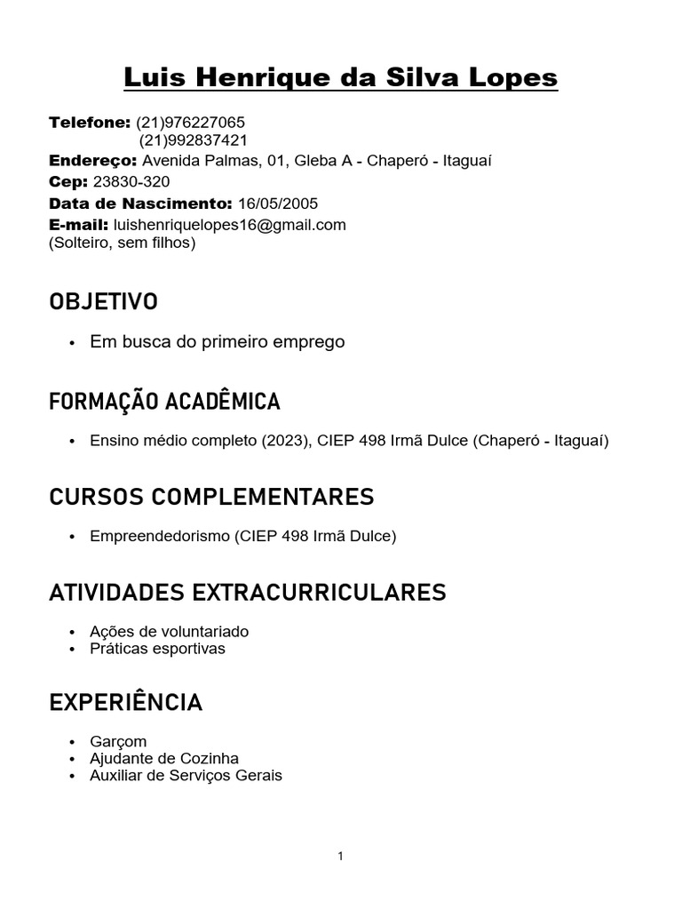 Curriculo Luis Henrique 2 | PDF