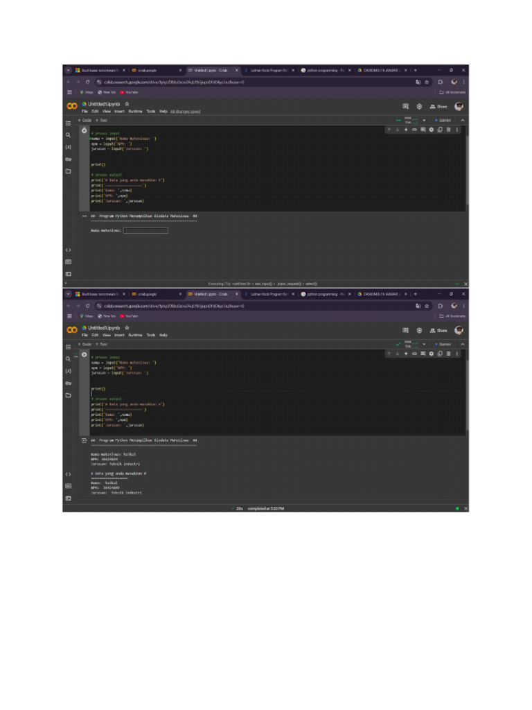 Program Phyton | PDF