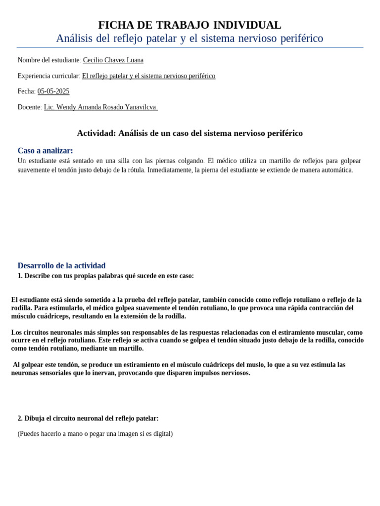 Ficha Reflejo Patelar SNP (1) (1) | PDF | Neurona | Rodilla