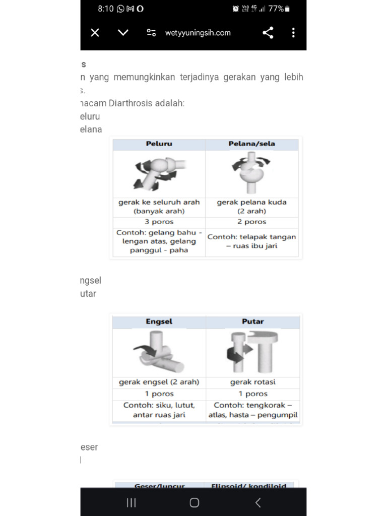 Macam macam sendi tulang | PDF