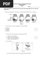 Term 3 Life Science Remote Learning Booklet | PDF | Leaf | Mitosis