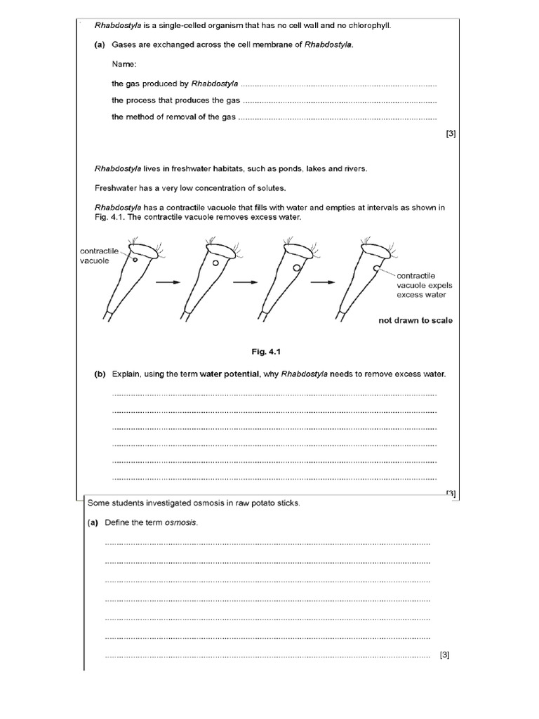 Diffusion Questions IGCSE | PDF