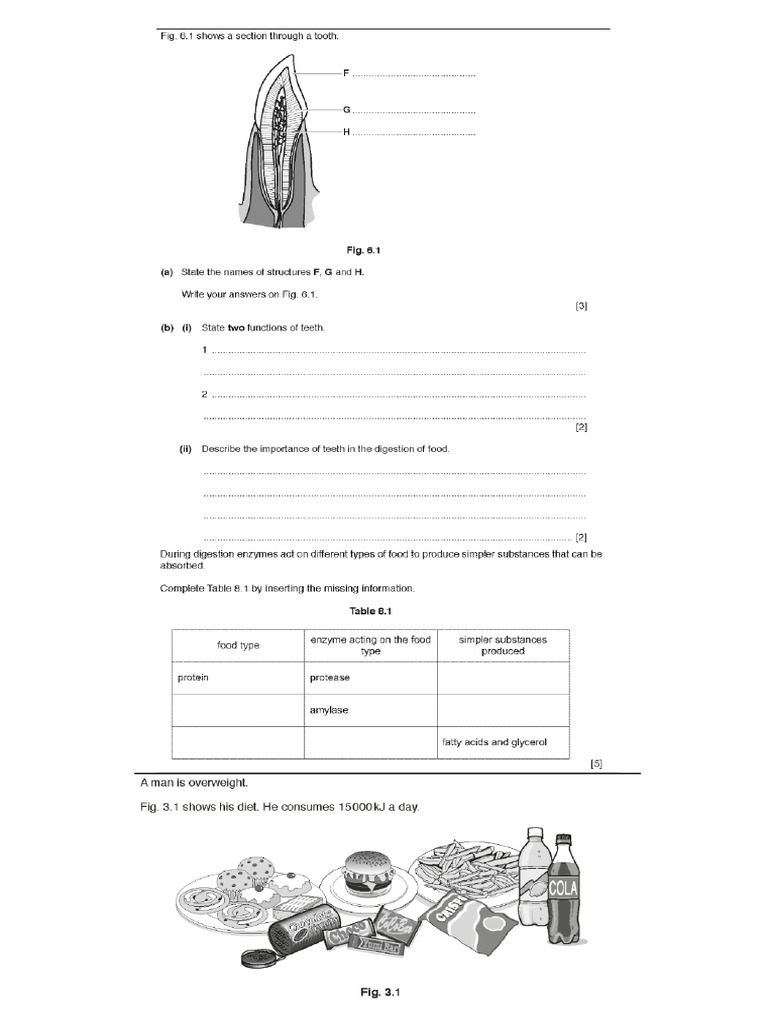 Human Nutrition Past Paper Questions IGCSE | PDF
