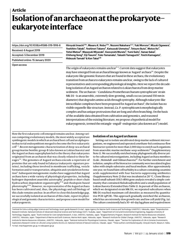 Isolation of Asgard Archaeon MK-D1 | PDF | Archaea | Biology