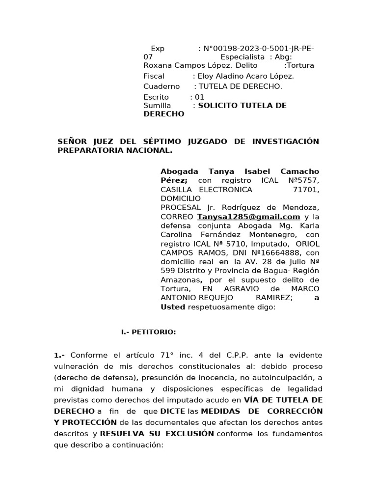 Tutela de Derecho | PDF | Fiscal | Ley procesal