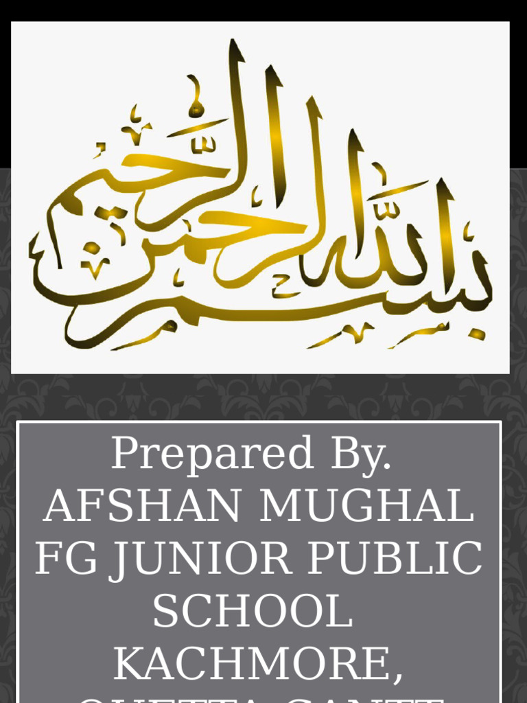 Presentation Afshan Mughal | PDF