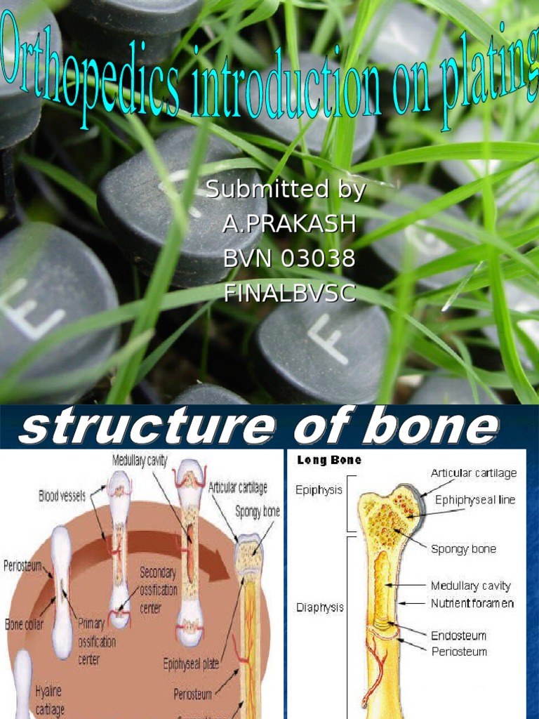Principles of Plating | PDF | Bone | Implant (Medicine)