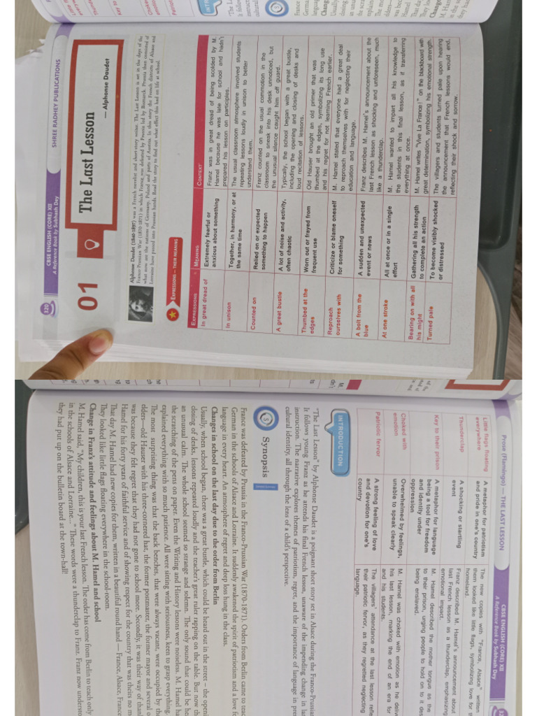 The Last Lesson Notes | PDF