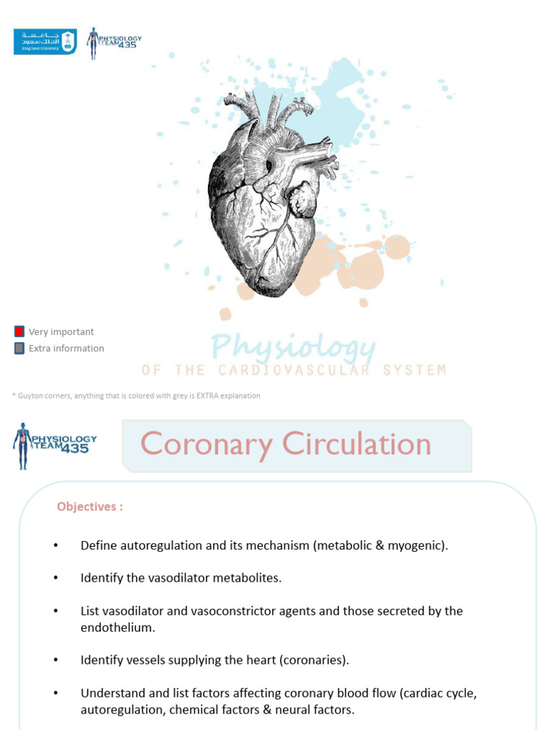 14 - Coronary Circulation Imp | PDF | Coronary Circulation | Heart