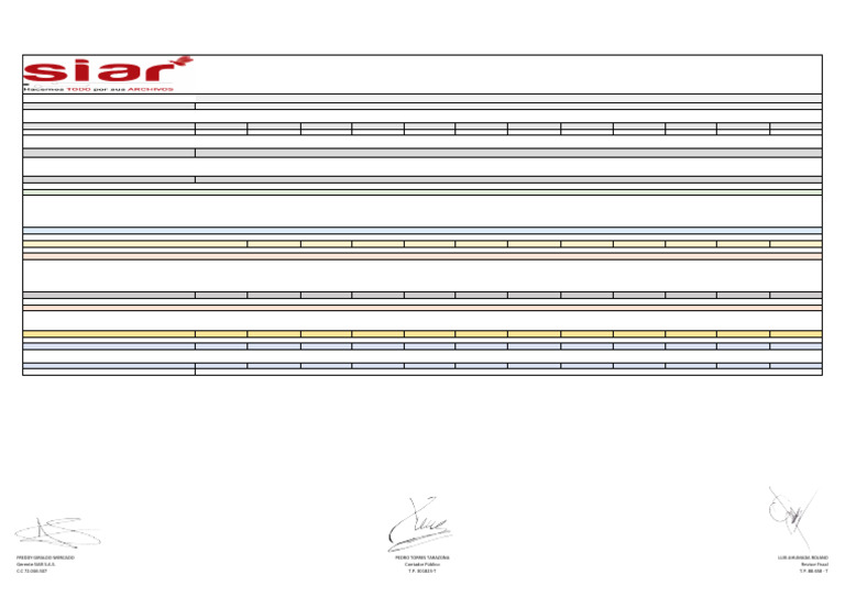 Flujo de Caja Proyectado 2025 Siar | PDF | Economias