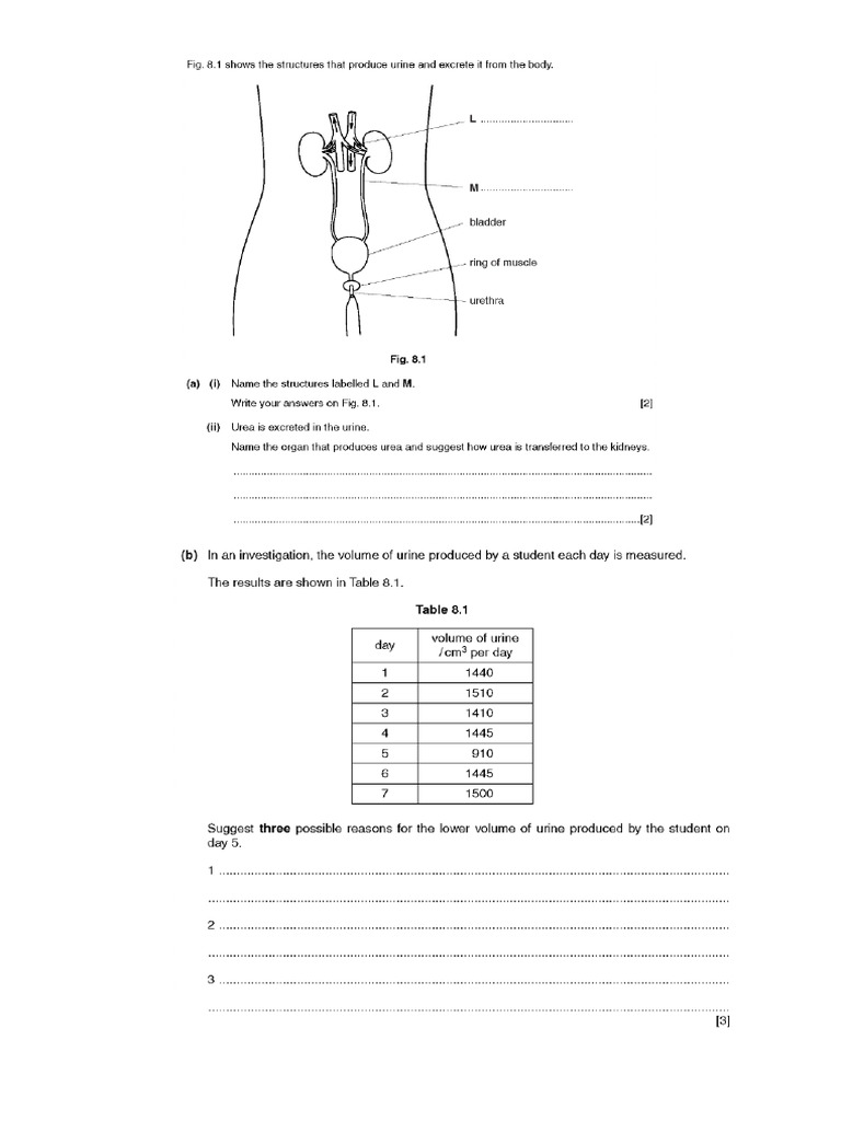 Excretion Questions | PDF