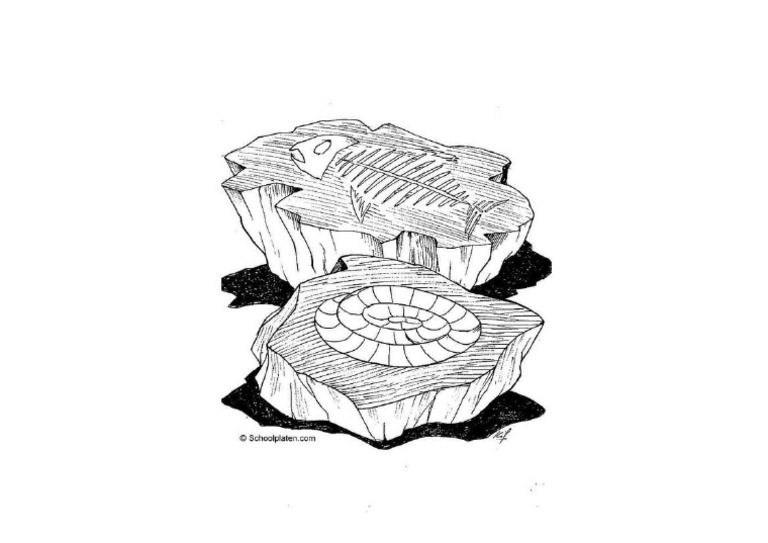 Coloring Page Fossil - Free Printables - Img 2865 | PDF